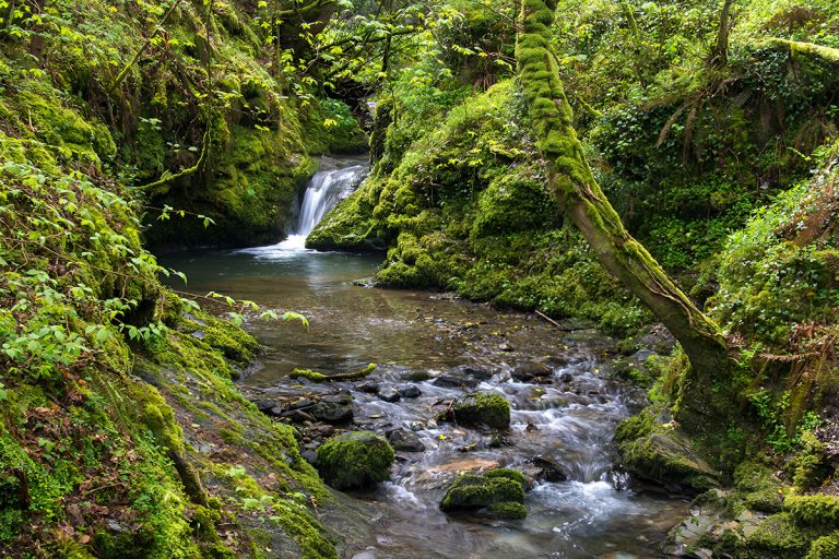 Lydford Gorge – Discover Devon